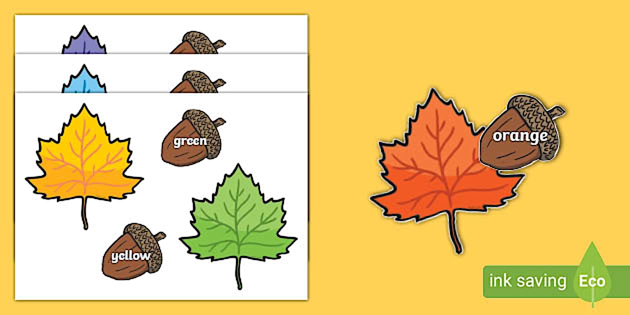 Autumn Acorn and Leaf Matching Activity (teacher made)