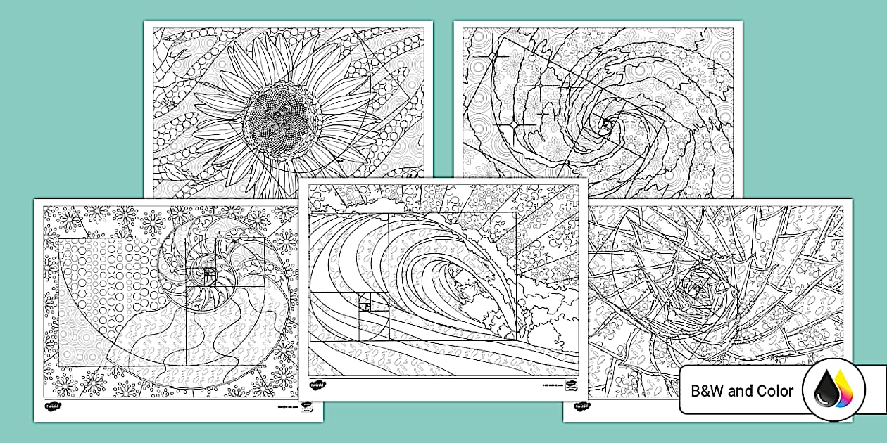 Fibonacci Sequence in Nature Mindfulness Coloring Sheets