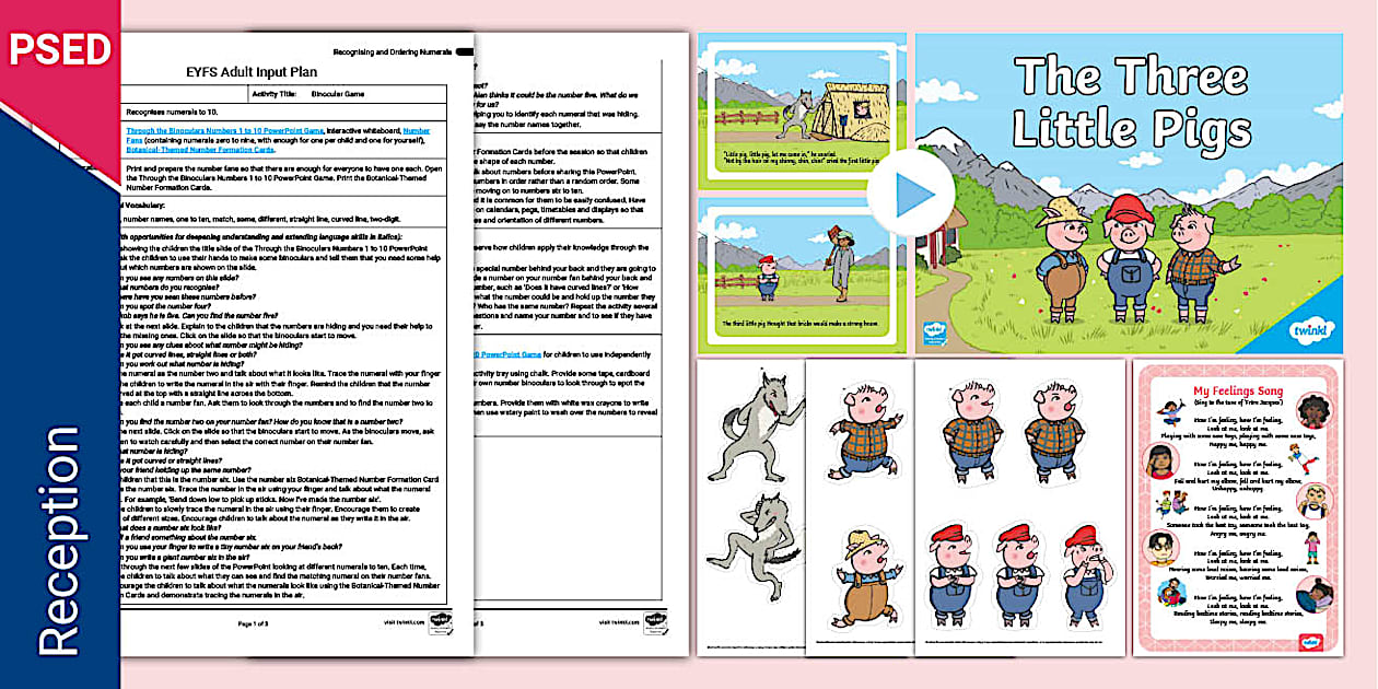 EYFS Character Feelings Adult Input Plan and Resource Pack