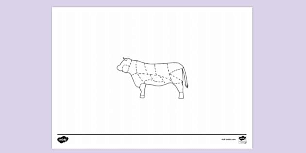 Beef Cuts Colouring | KS1 Colouring Sheets | Twinkl - Twinkl