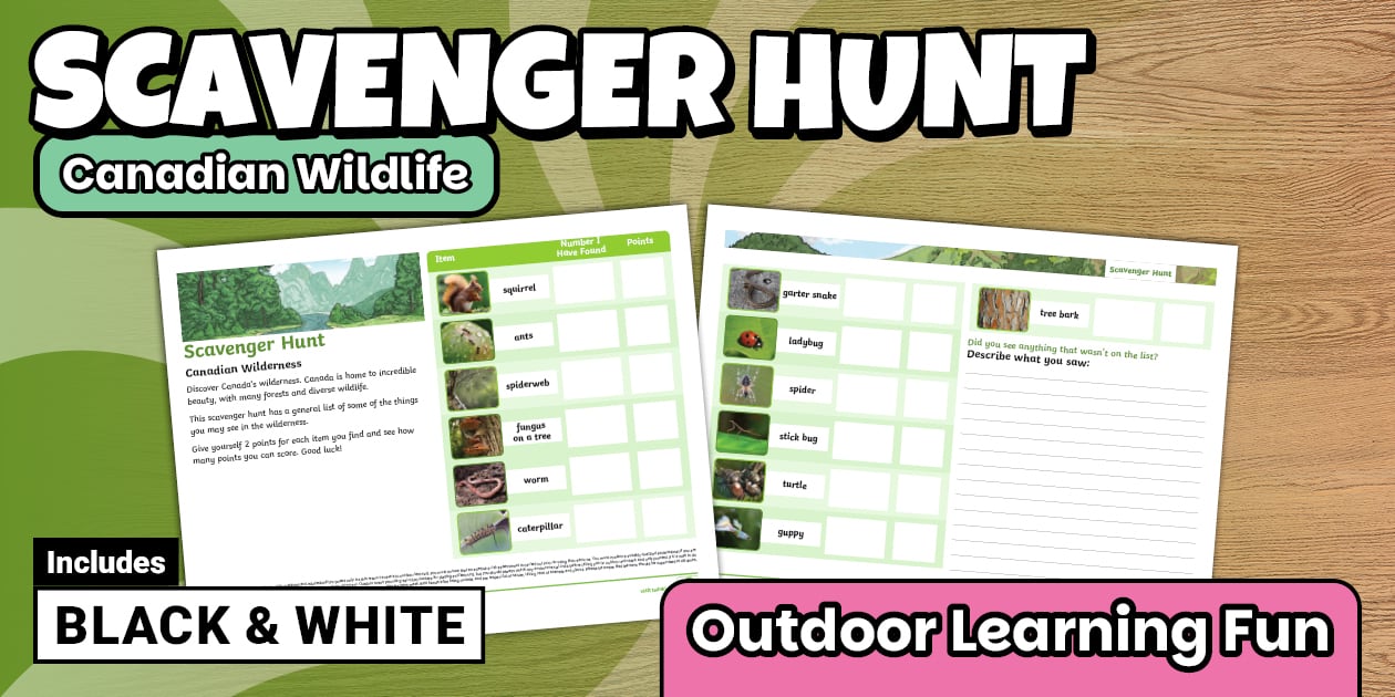 Scavenger Hunt Nature Walk Outdoor Activity
