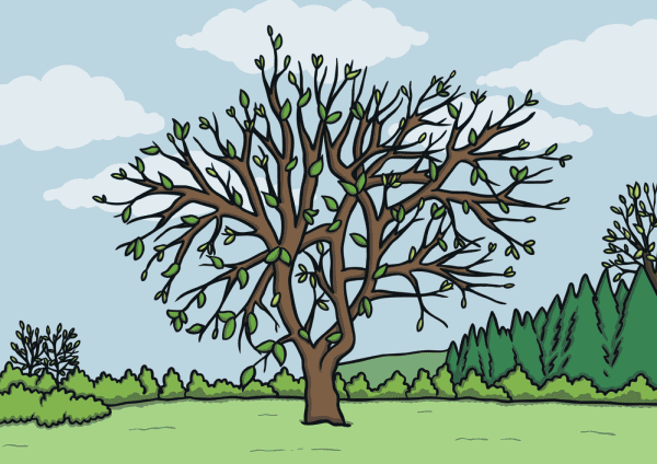 What is a Season? | Twinkl Teaching Wiki - Twinkl