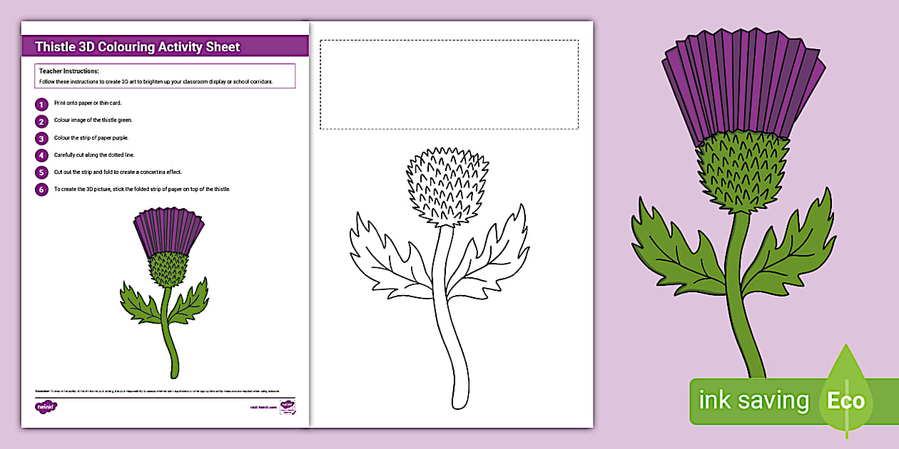 Thistle 3D Colouring Activity Sheet (Teacher-Made) - Twinkl