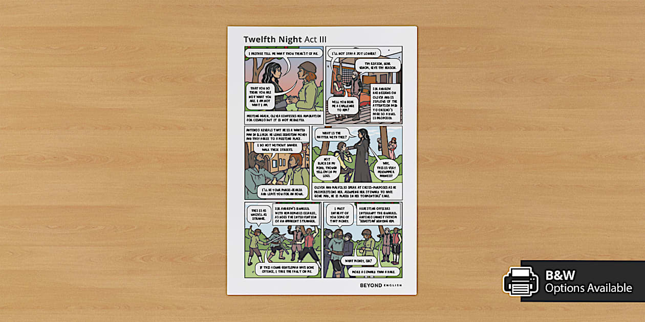Twelfth Night Graphic Plot Comic Strip - Act III