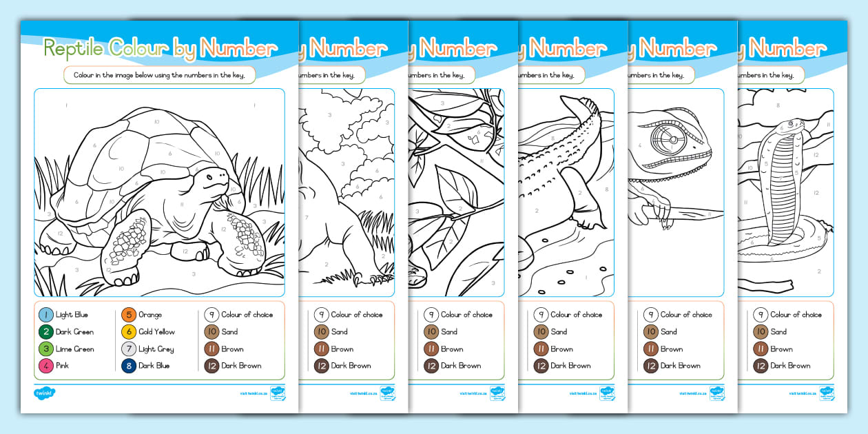 * NEW * Reptile Colour by Numbers Worksheets (Teacher-Made)