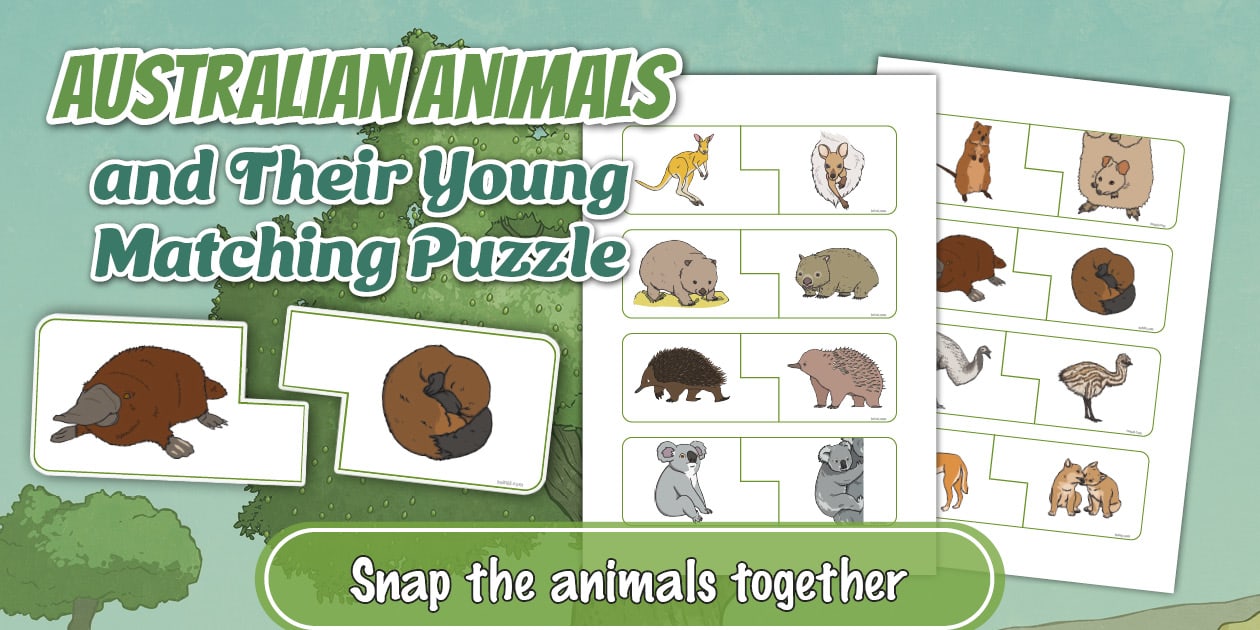Australian Animals and Their Young Matching Puzzle