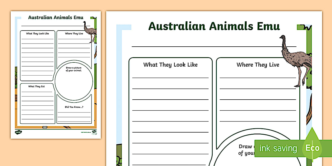 Australian Animals Emu Information Report Writing Template, blank ...