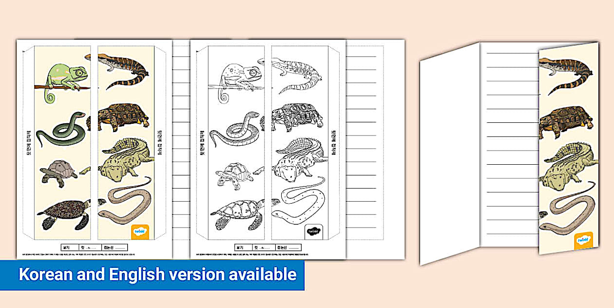 파충류 접히는 글쓰기 템플릿 | Reptiles Folding Writing Template