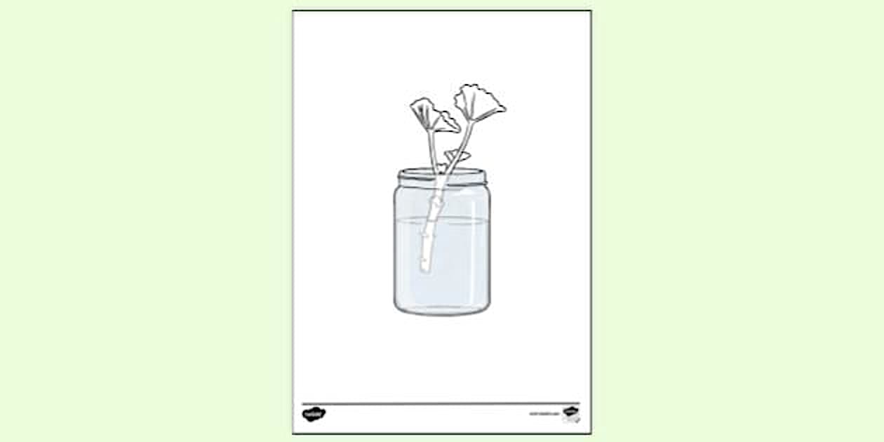 Cutting in Jar Colouring | Colouring Sheets - Twinkl