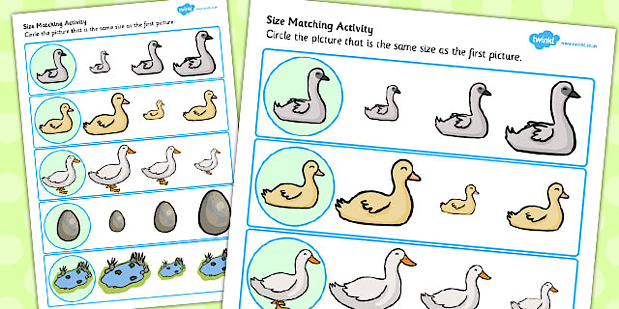 Black and White Ugly Duckling Size Matching Worksheets