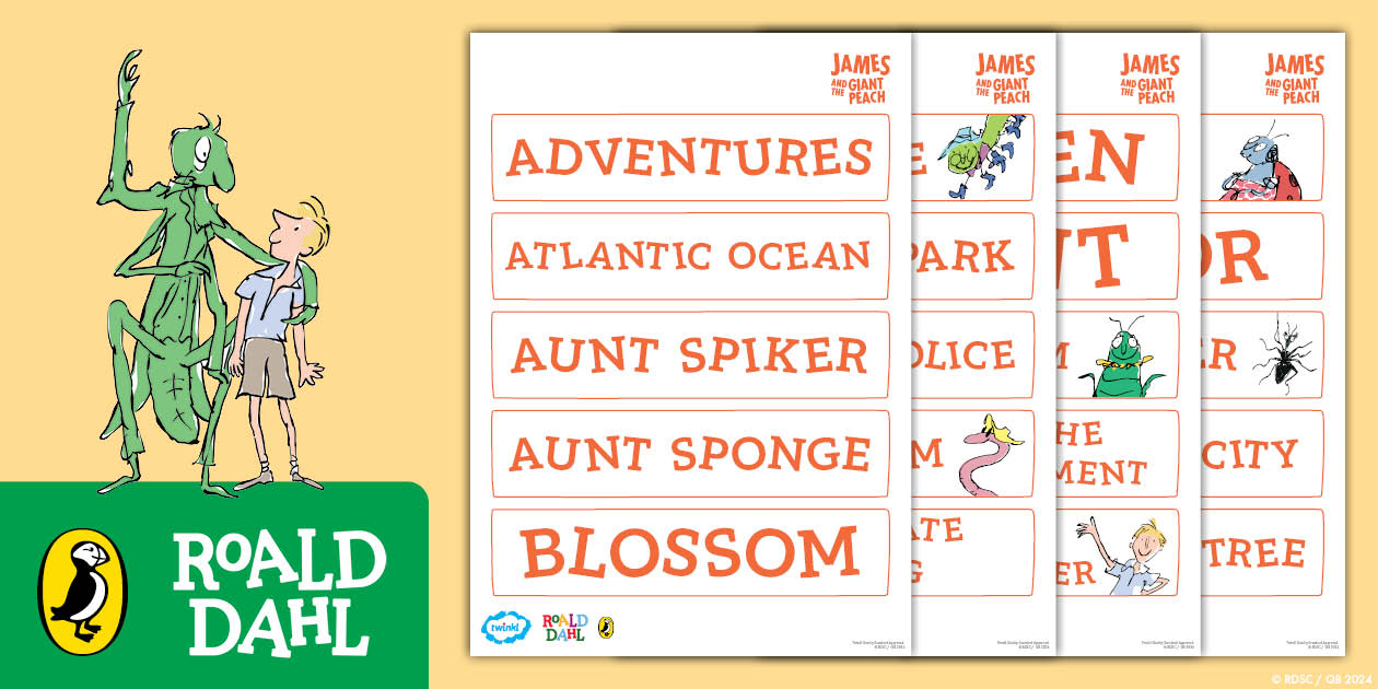 FREE! - James and the Giant Peach: Word Cards (teacher made)