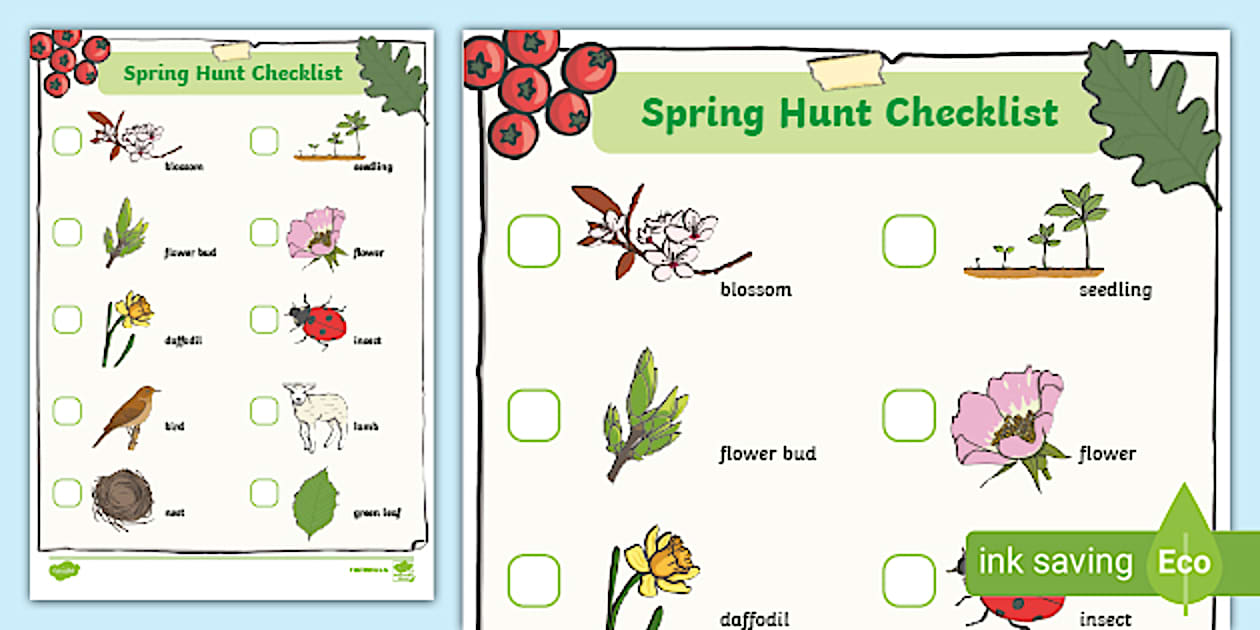 Signs of Spring Worksheet & Checklist (teacher made)
