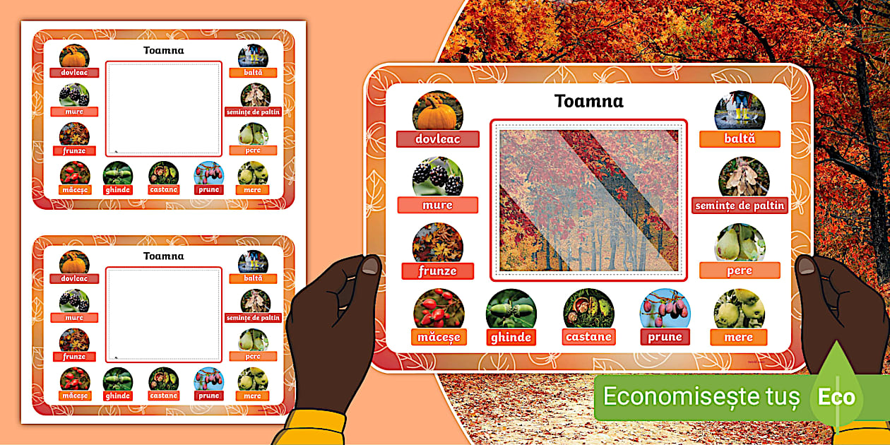 Cu ochișorii iscodesc toamna – Ramă - Twinkl