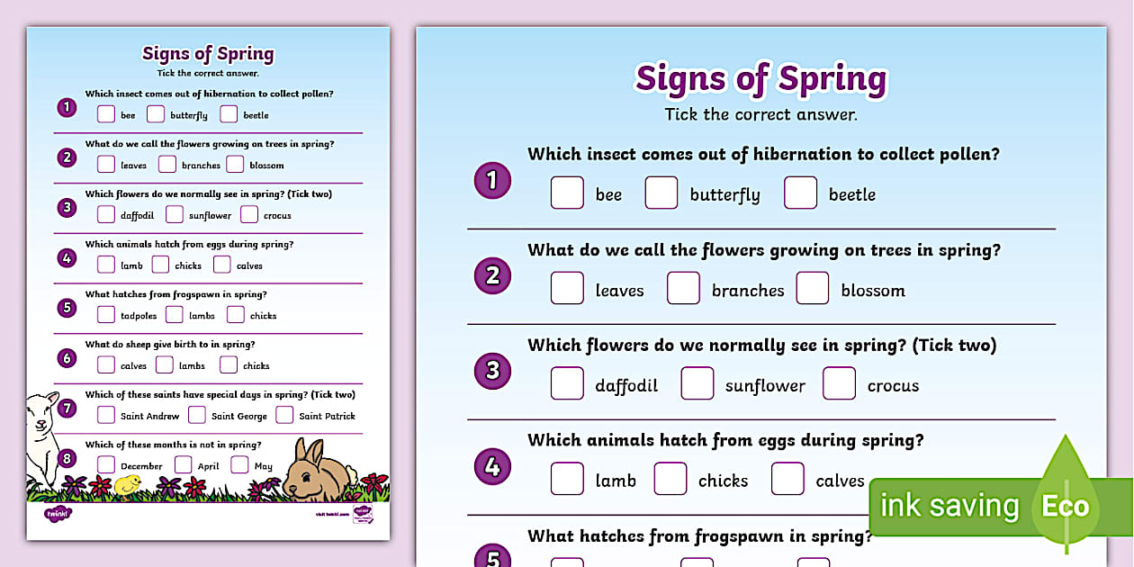Signs of Spring Quiz (Teacher-Made) - Twinkl