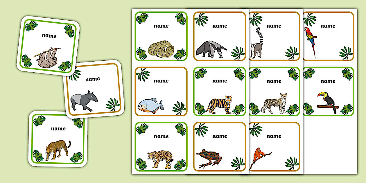 Rainforest Peg Labels (Teacher-Made) - Twinkl