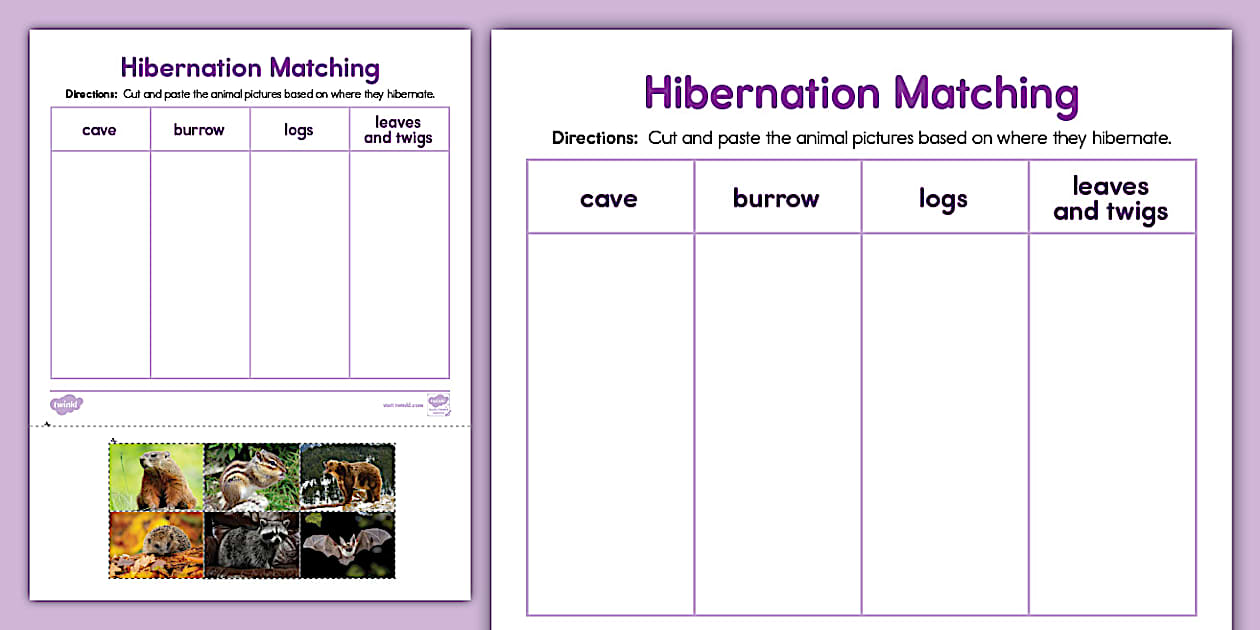 Hibernation Matching Worksheet for K-2nd Grade - Twinkl