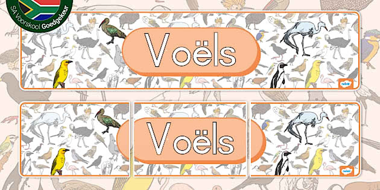 Voorskool - Voëls - Vertoonbanier