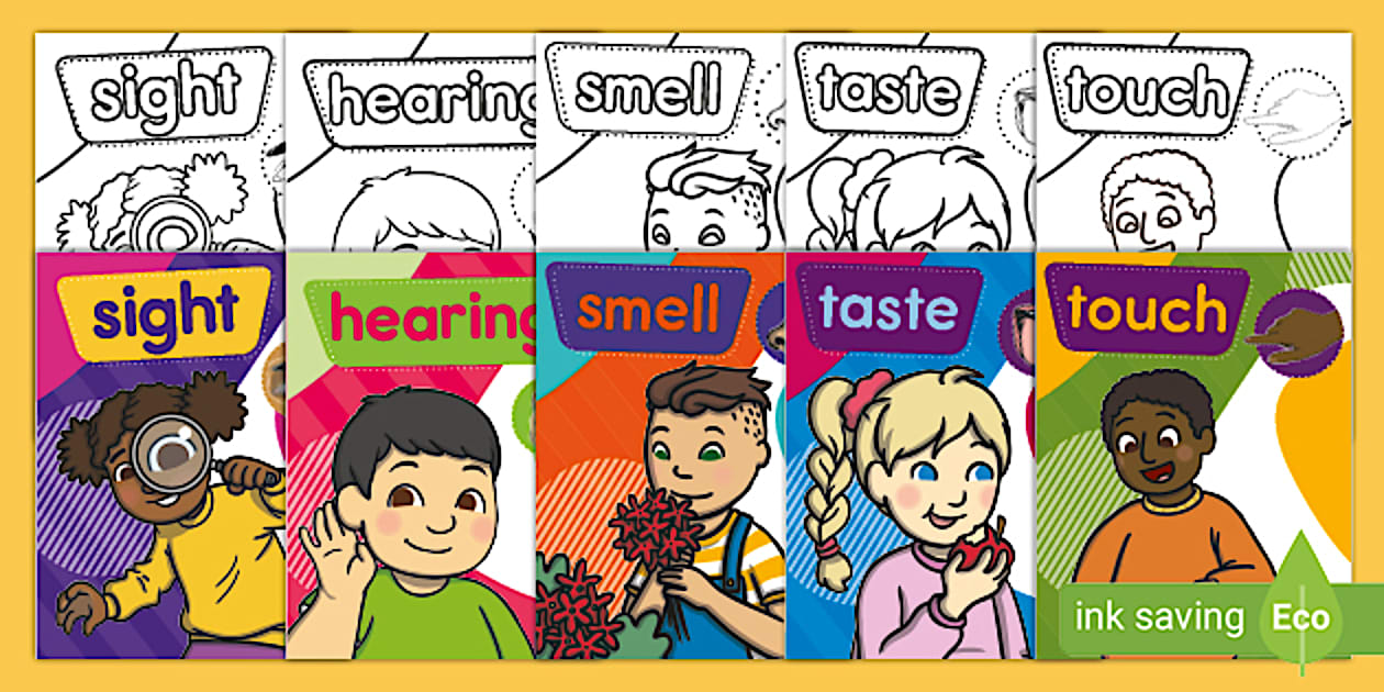 Editable 5 Senses Posters (teacher made) - Twinkl