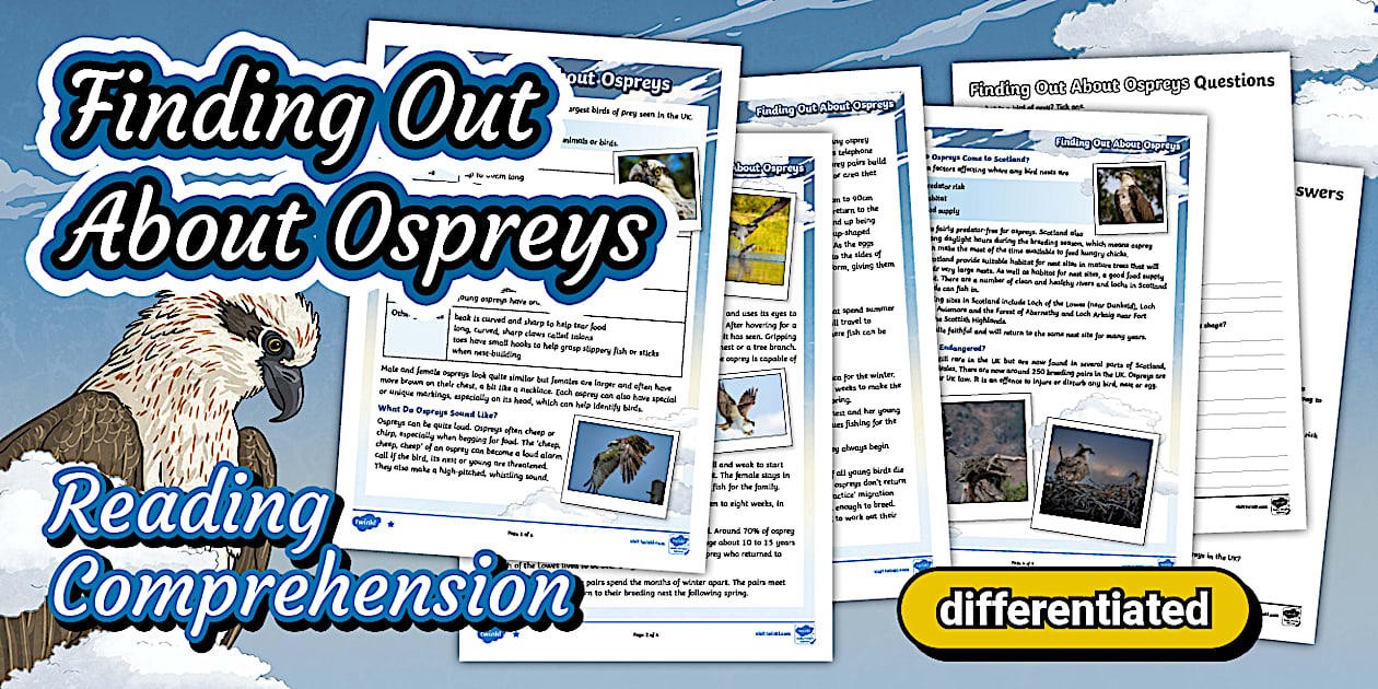 Ospreys Differentiated Reading Comprehension