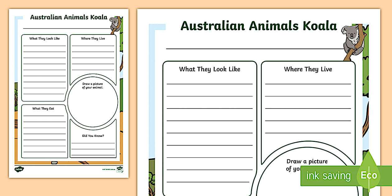 Editable Australian Animals Information Report Writing Koala Template