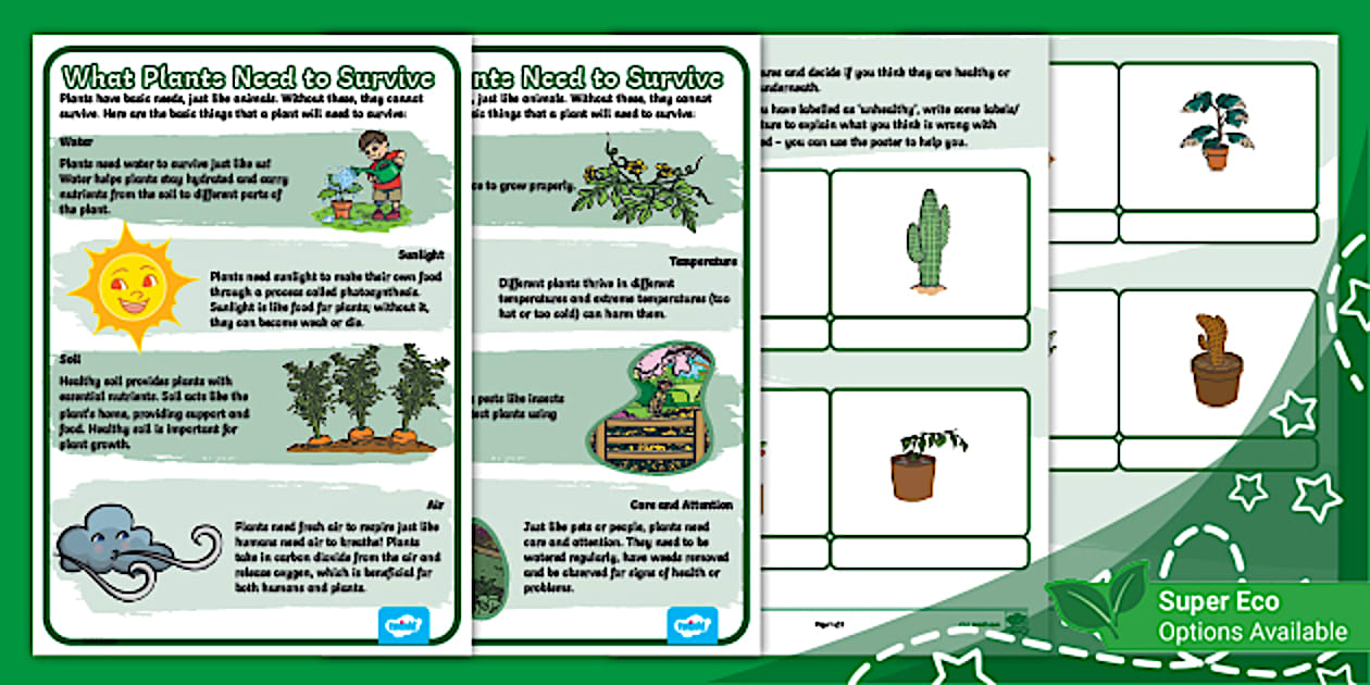 Plant Doctor: What Do Plants Need? (Ages 6 - 7)