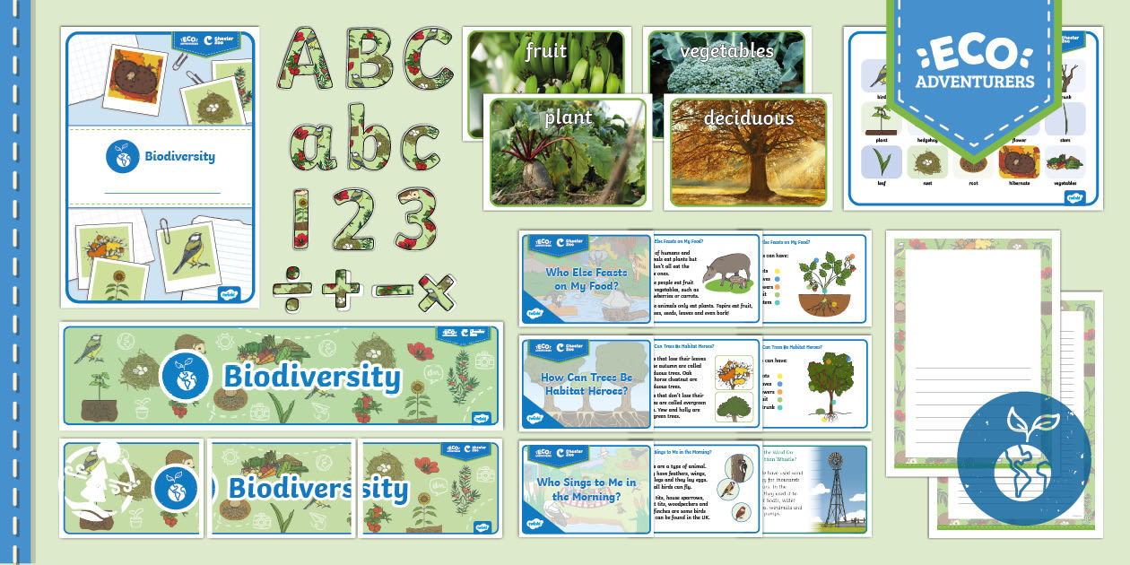 FREE! - Year 1 Biodiversity: Display Pack (teacher made)