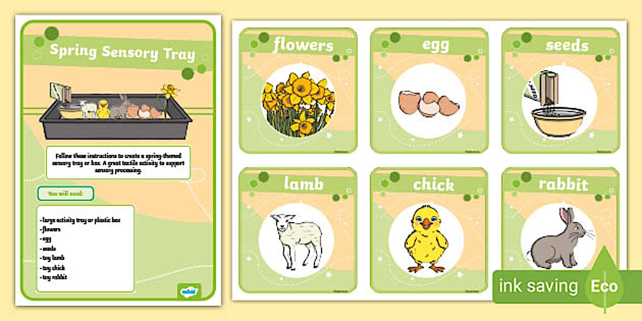 An Interactive Spring Sensory Tray | Twinkl | EYFS - Twinkl