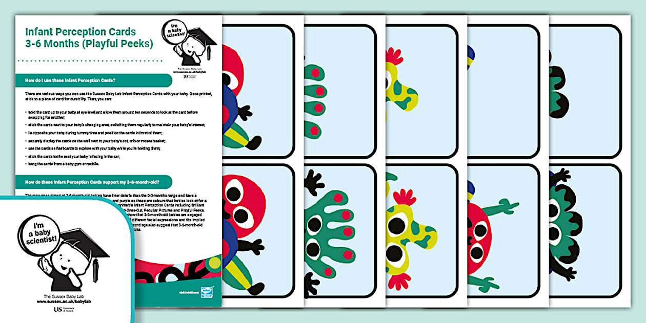 FREE! - Playful Peeks Infant Perception Cards - 3-6 Months