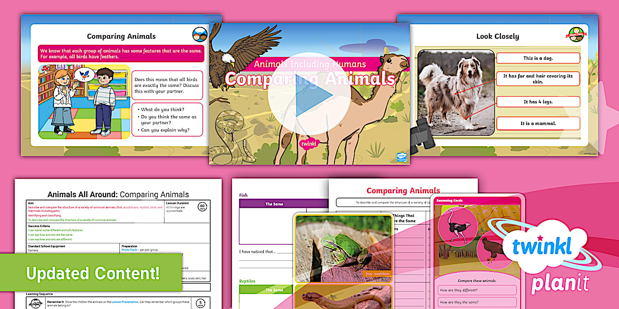 Comparing Animals | Year 1 Animals, Including Humans