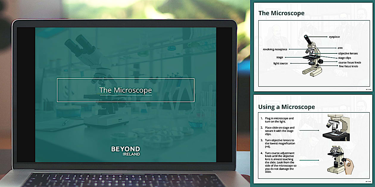 The Microscope PowerPoint