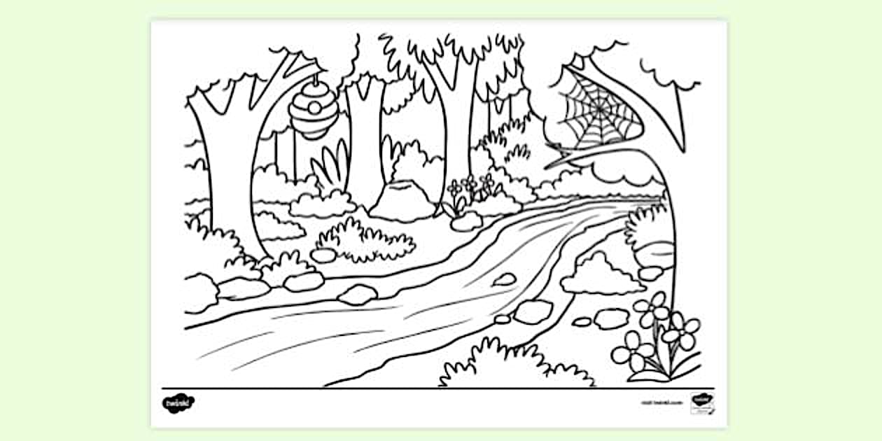 Forest Colouring | Colouring Sheets (teacher made) - Twinkl