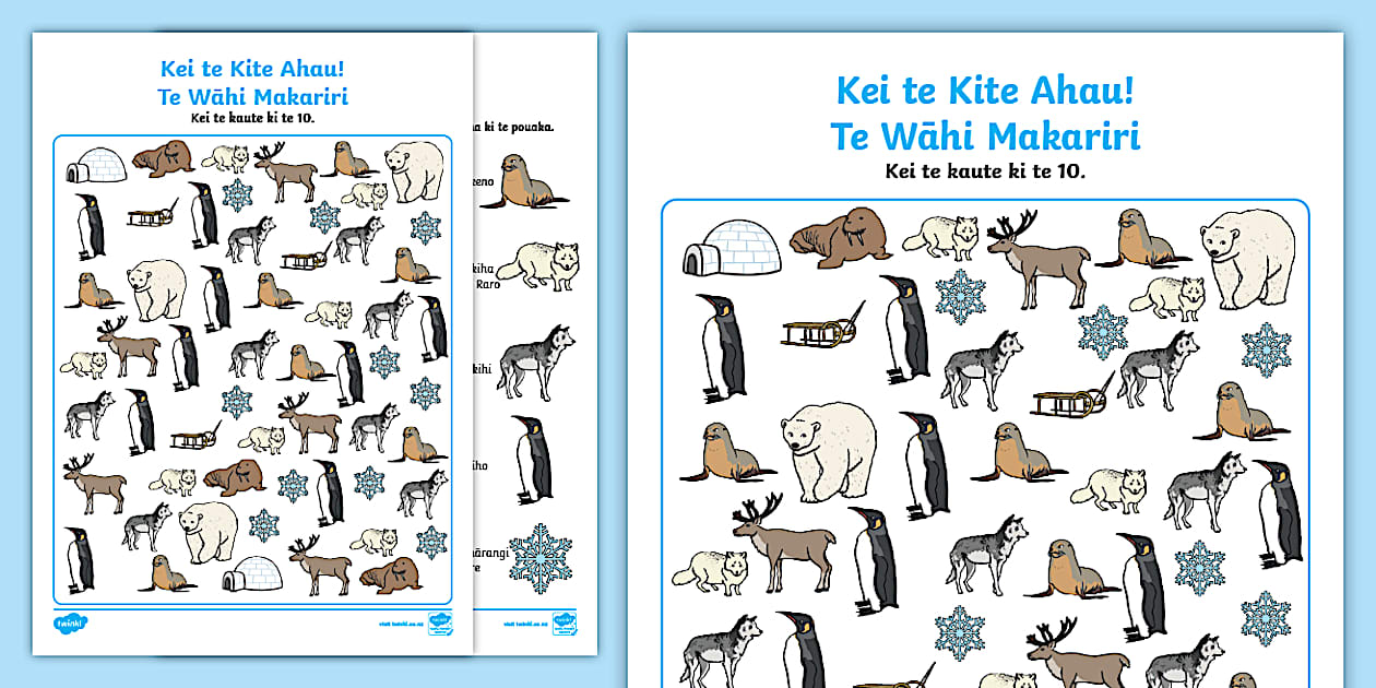 Kei te Kite Ahau! Te Wāhi Makariri (Teacher-Made) - Twinkl