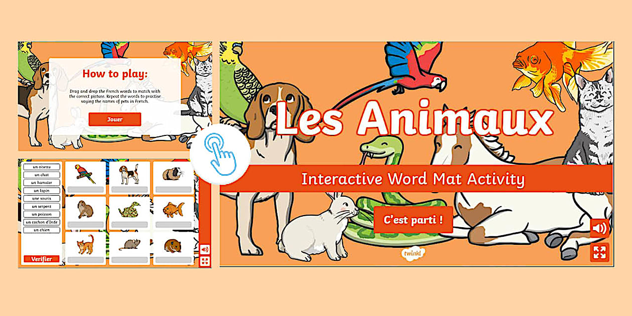 👉 French: Pets Interactive Word Mat Activity - Twinkl
