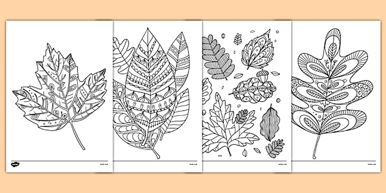 Autumn Mindfulness Colouring | Art Lesson | Primary Resource