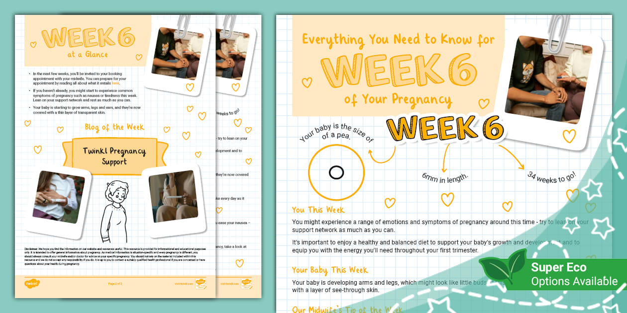 Everything You Need to Know for Week 6 of Your Pregnancy