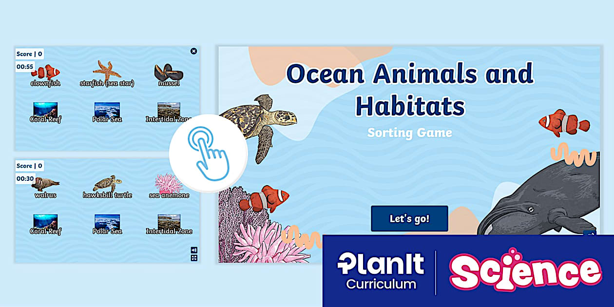 Ocean Animals and Habitats Sorting Game (teacher made)