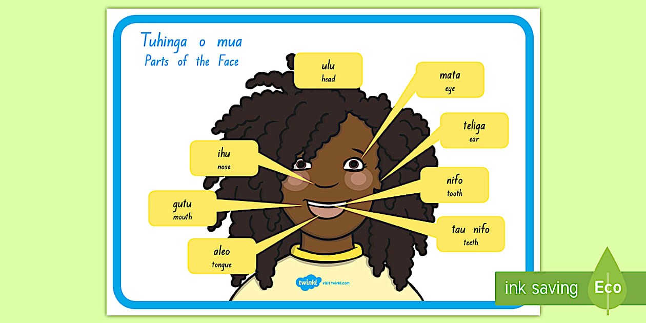 Parts of the Face Poster Niuean/English - Twinkl
