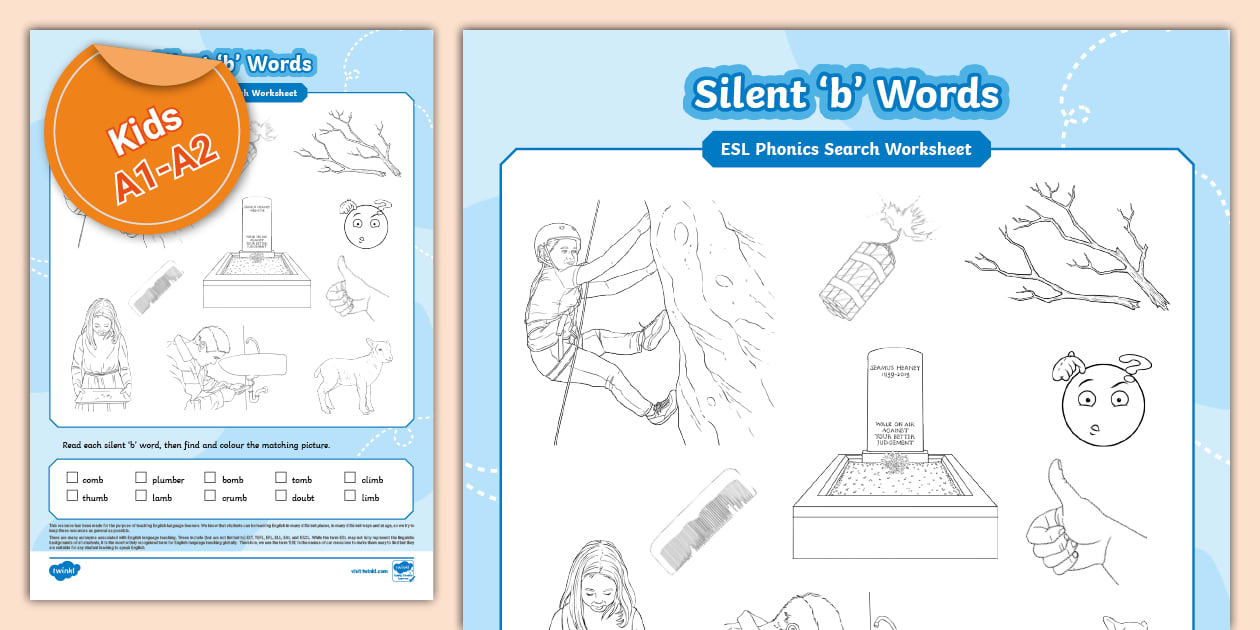 ESL Silent 'b' Words Phonics Search Worksheet - Twinkl