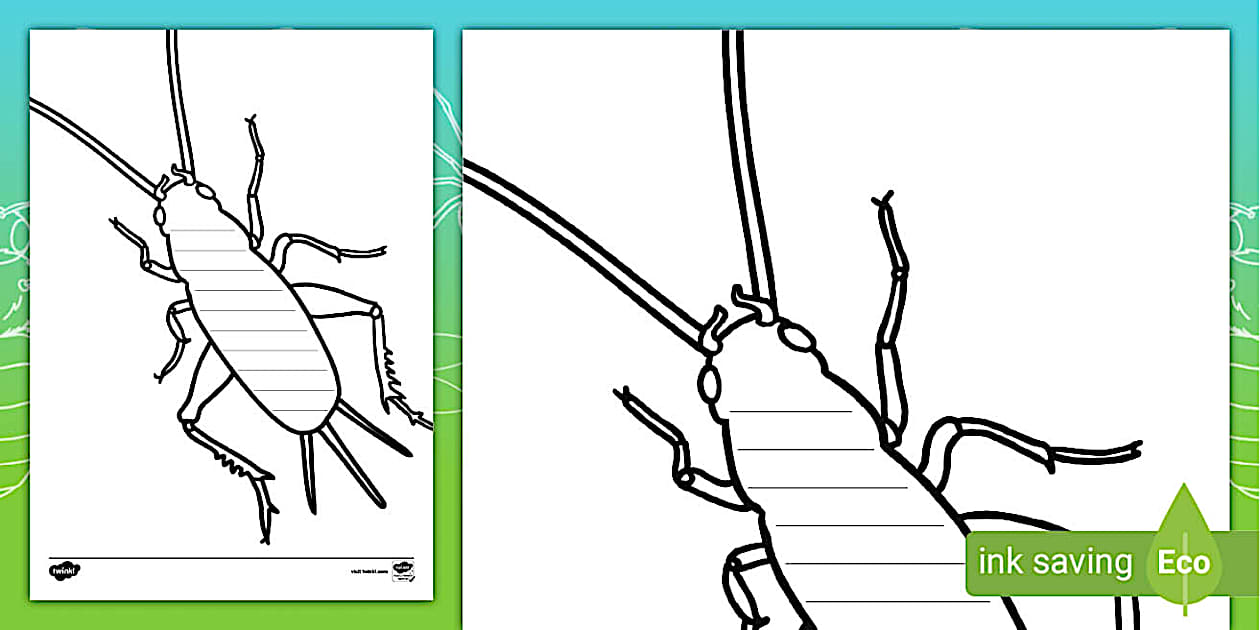 Cricket Writing Template (teacher made) - Twinkl