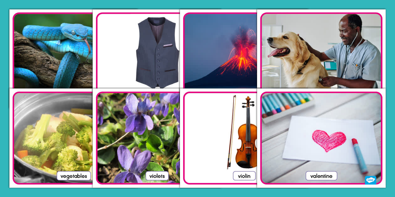 Things That Start With V Photos (teacher made) - Twinkl