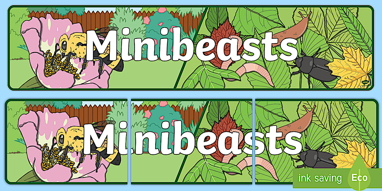Display Title Minibeasts | Minibeast Display Banner | Twinkl