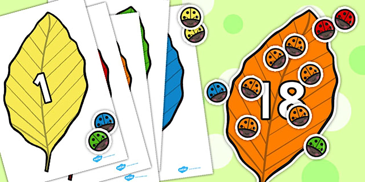 Ladybird and Leaf Counting Activity to 20 (teacher made)