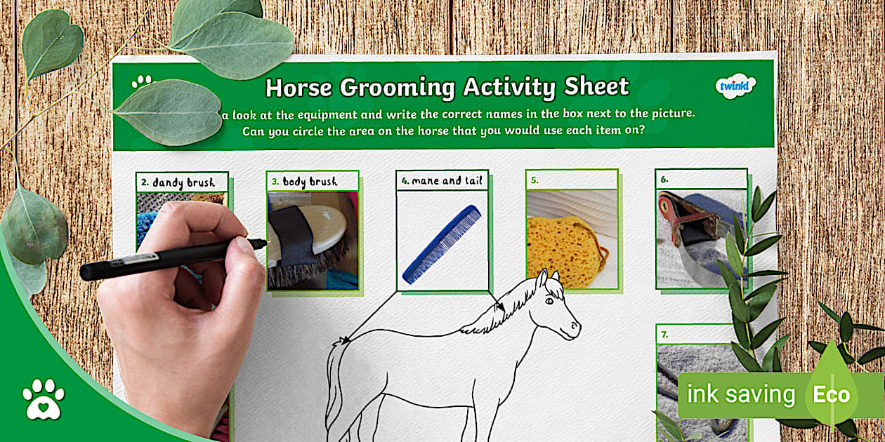 Horse Grooming - Activity Sheet - Horses - Twinkl Pets