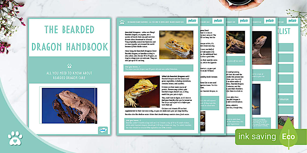 The Ultimate Bearded Dragon Handbook - Pet Care Guide - Pets