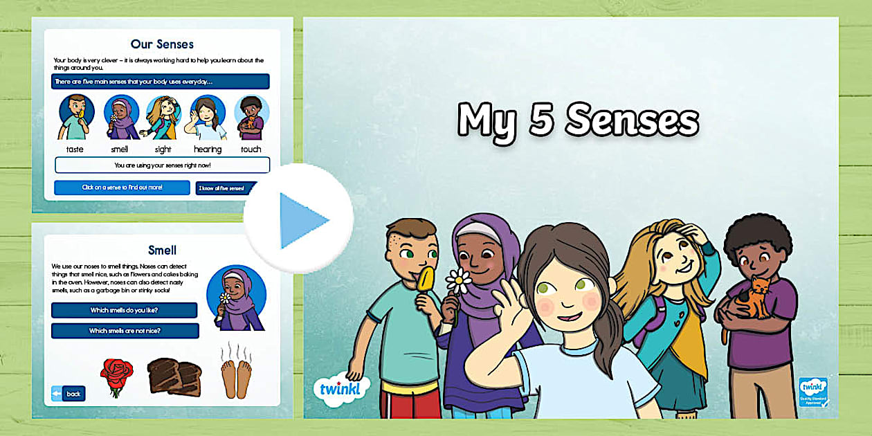 My 5 Senses PowerPoint (teacher made) - Twinkl