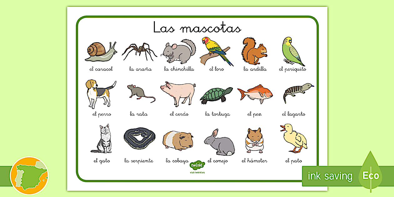 Tapiz de vocabulario: Las mascotas - Twinkl