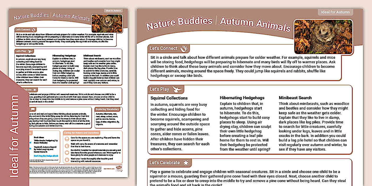 EYFS Nature Buddies Outdoor Learning: Autumn Animals