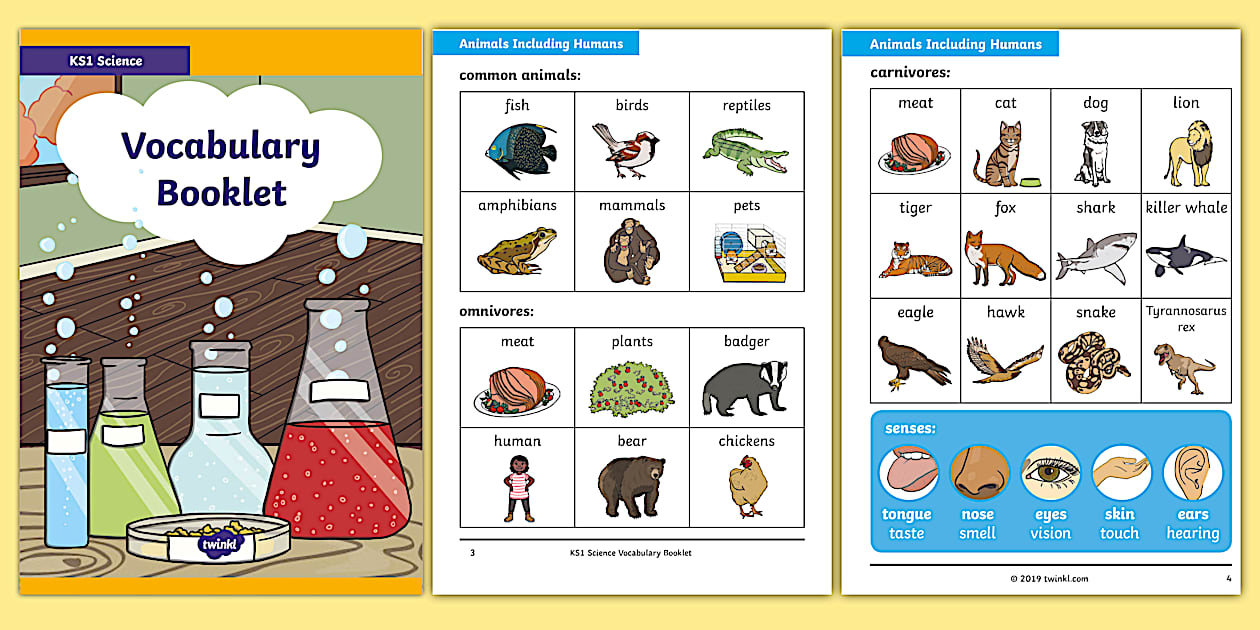 KS1 Science Vocabulary Booklet (teacher made) - Twinkl