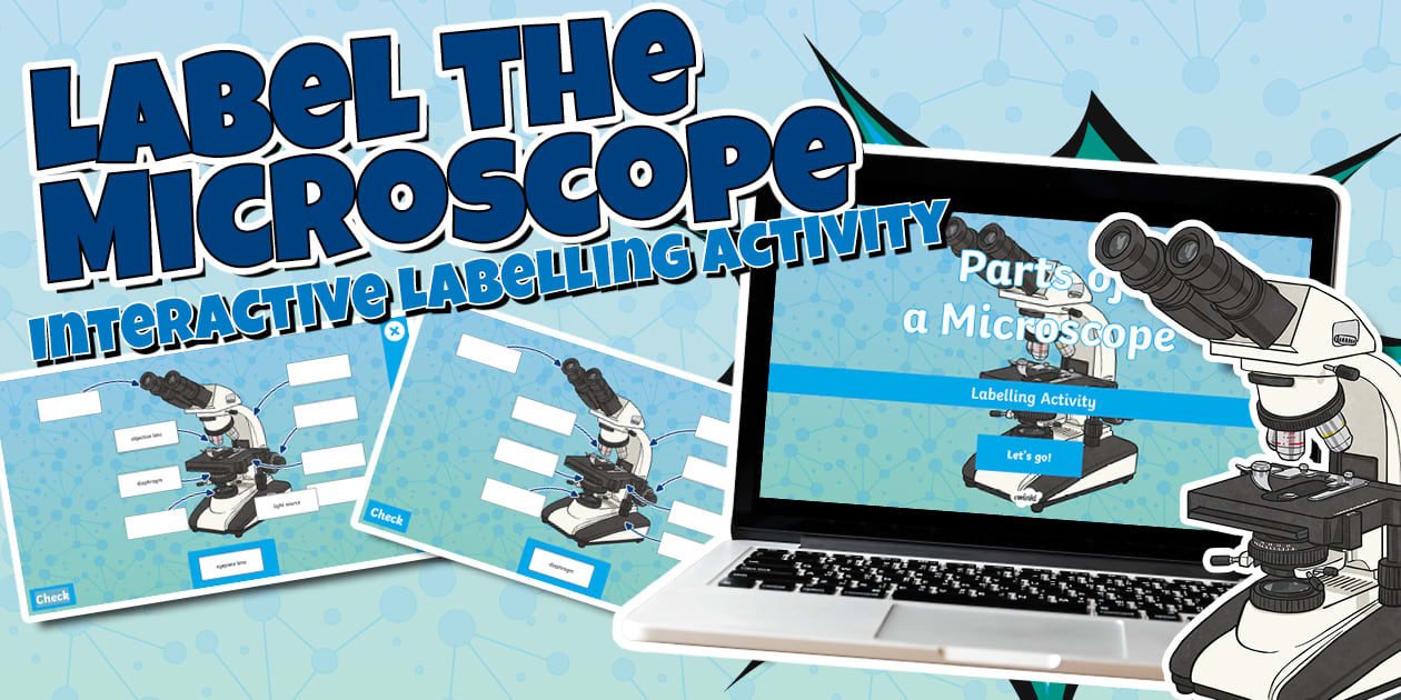 Intermediate Phase Natural Sciences - Label the Microscope - Interactive
