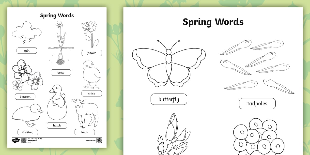 Spring Words Colouring Sheets - Primary Resources - Twinkl